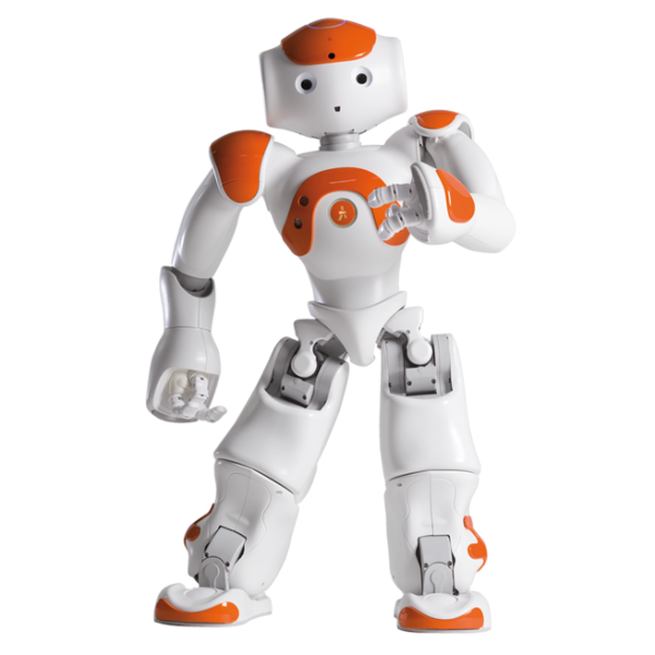 Non-Industrial Robots – RoboLodge